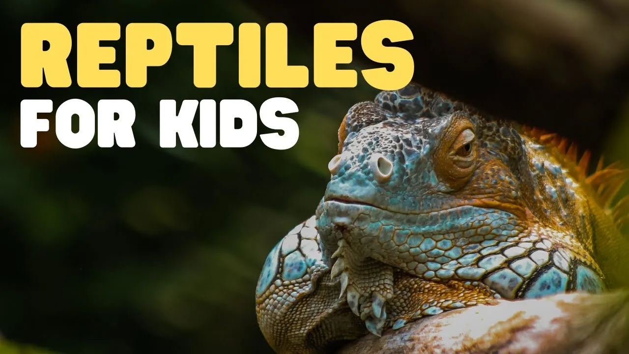 Reptiles for Kids | What is a reptile? Learn all about reptiles and ...