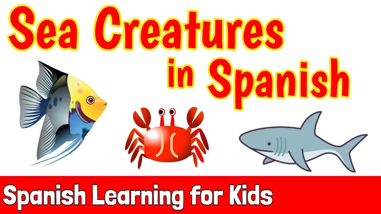 Sea Creatures in Spanish - ClassX