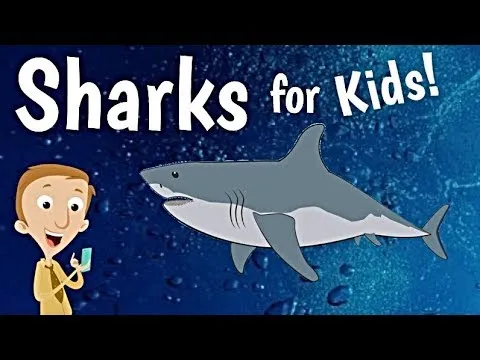 Sharks for Kids - ClassX