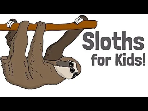 Sloths for Kids - ClassX