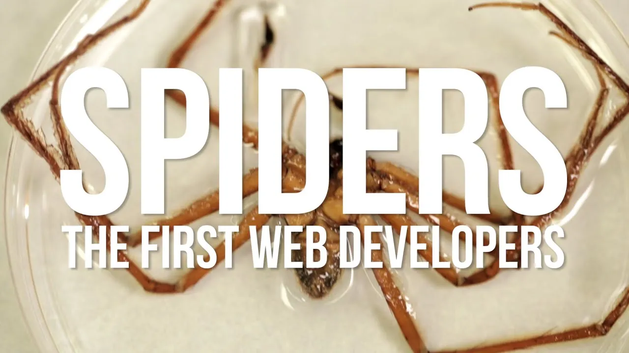 Spiders: The First Web Developers - ClassX