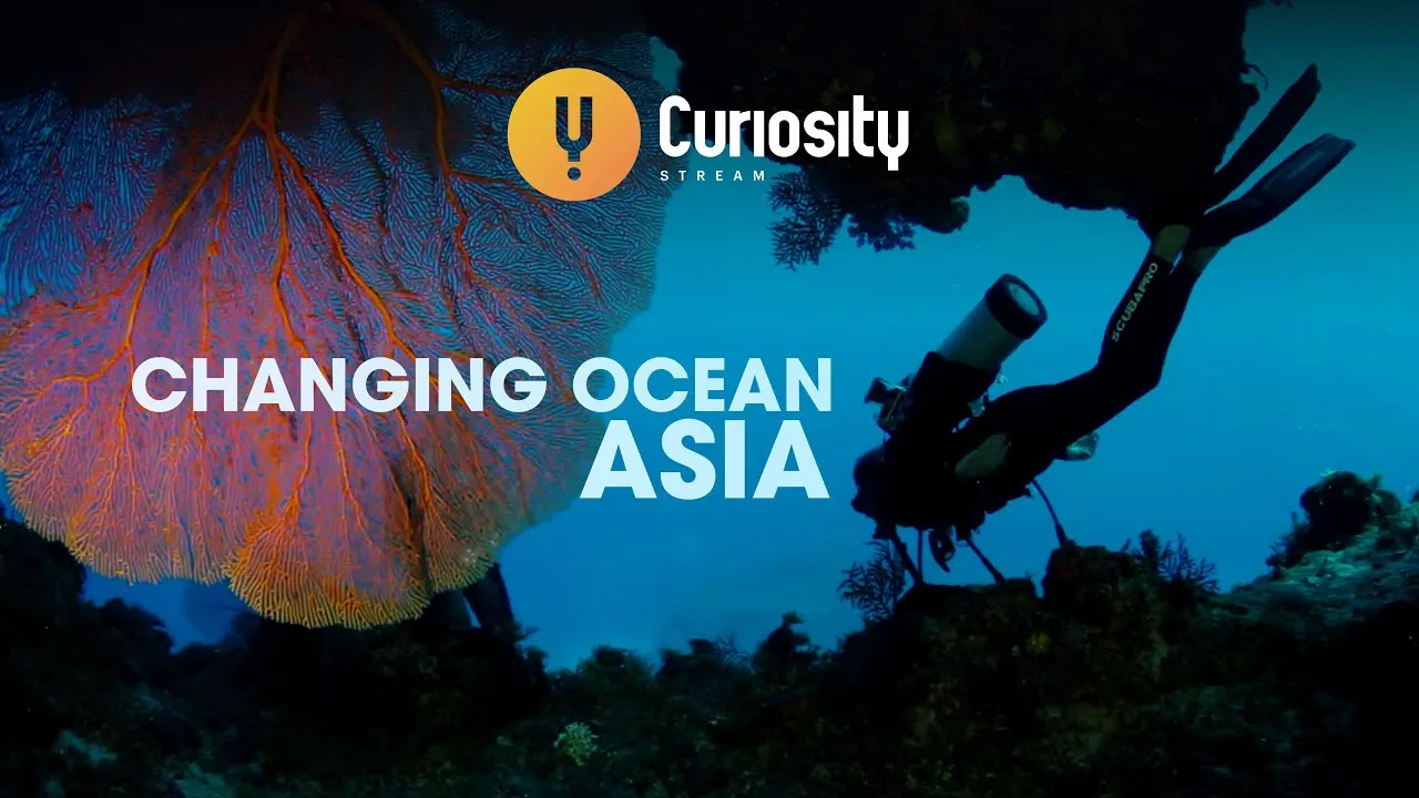 Super Corals are Resisting Climate Change: Asia's Changing Oceans - ClassX