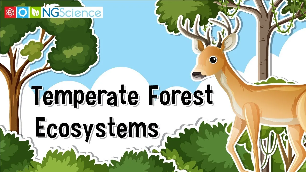 Temperate Forest Ecosystems - ClassX