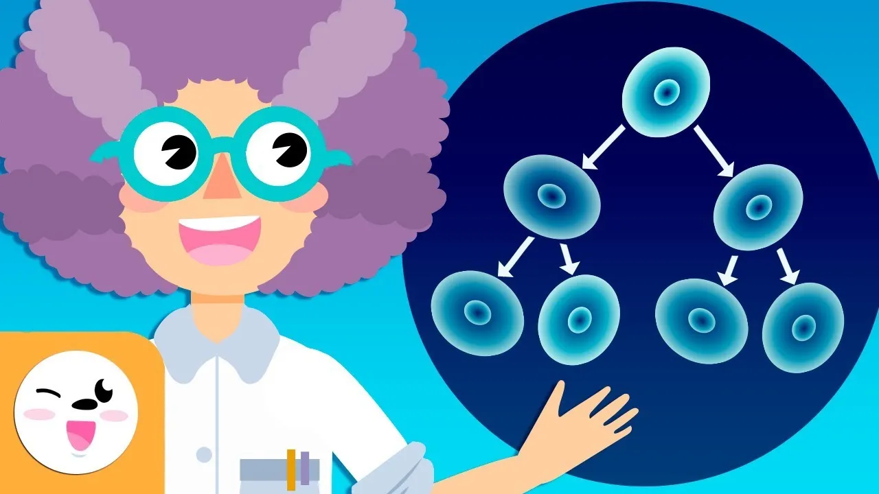 The Cell: Definition, structure and its parts - Prokaryotic and ...