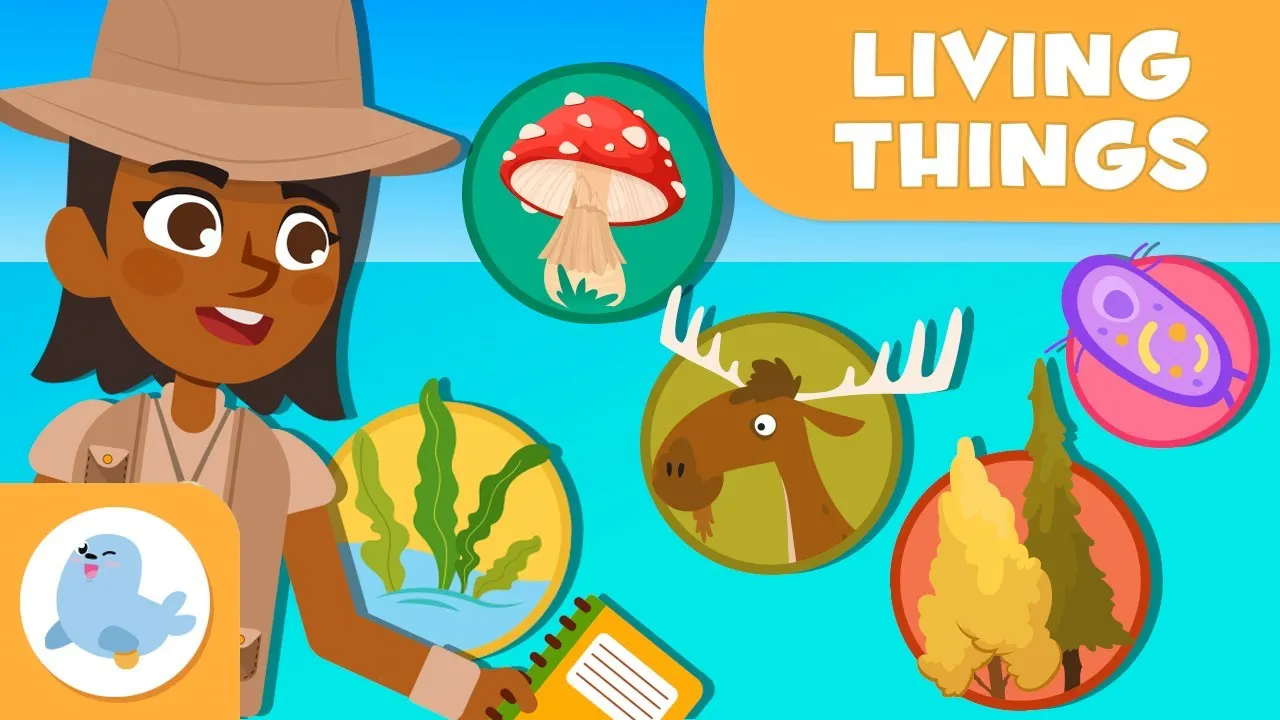 The Classification of Living Things ???? ???? 5 ANIMAL KINGDOMS ...