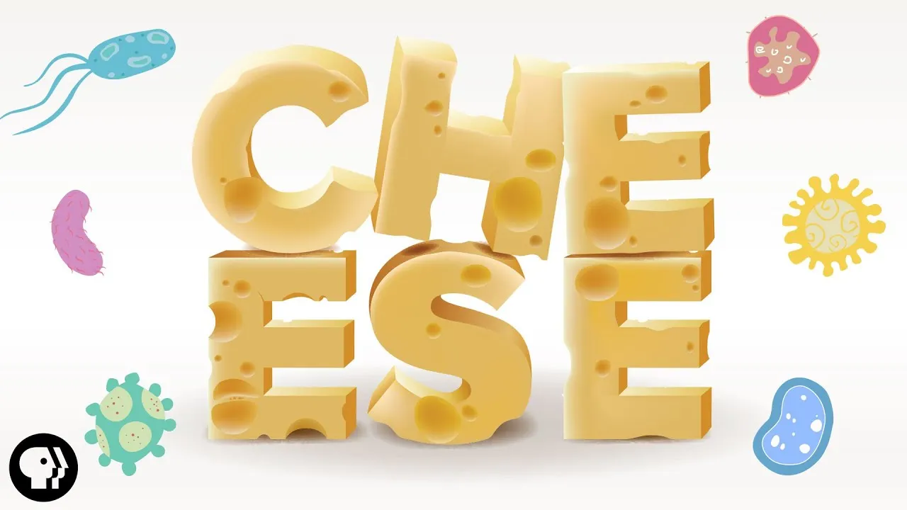 The Delicious Science of CHEESE! - ClassX
