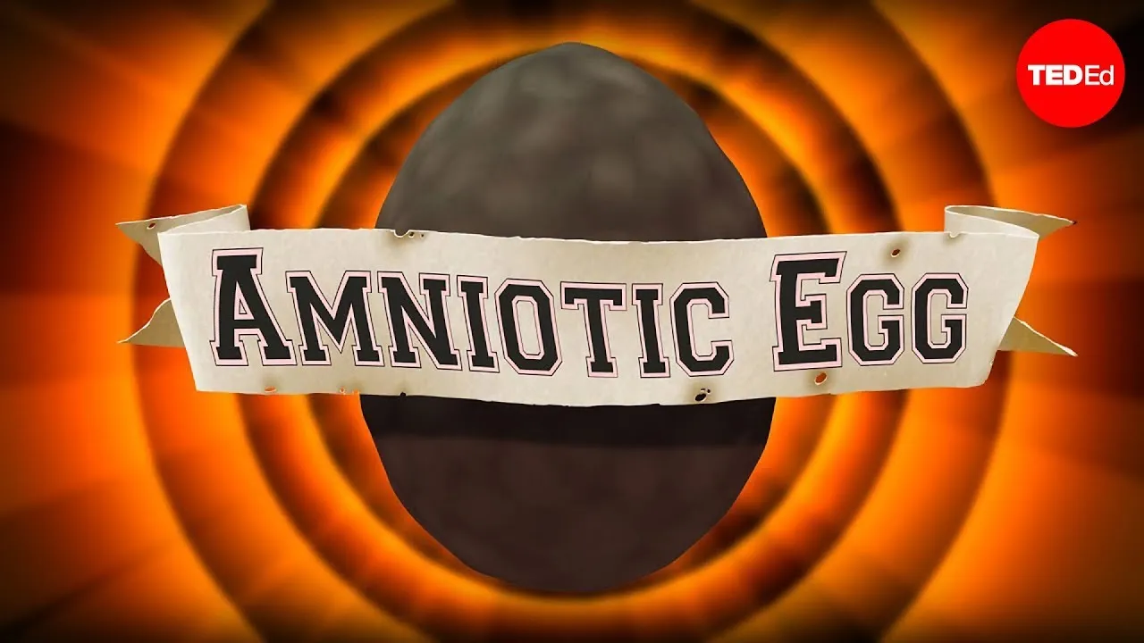 The game-changing amniotic egg - April Tucker - ClassX