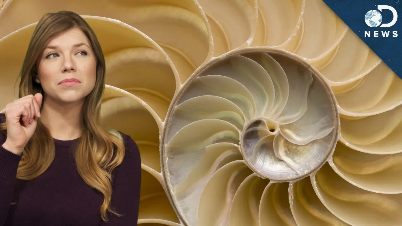 The Golden Ratio vs. The Rule of Thirds - ClassX