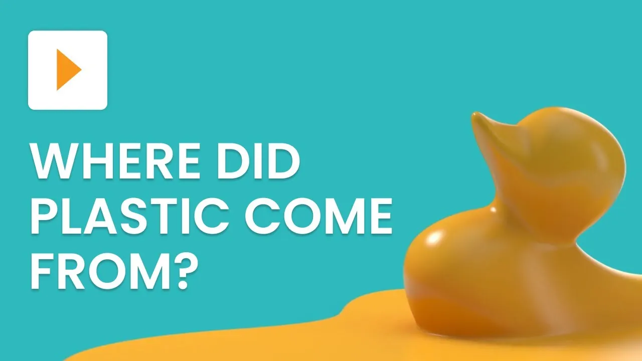 The History of Plastic: Fun Facts | History - ClassX