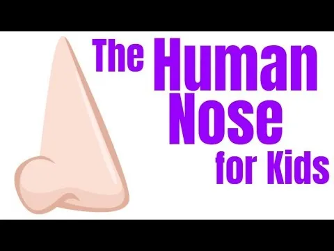 The Human Nose for Kids - ClassX