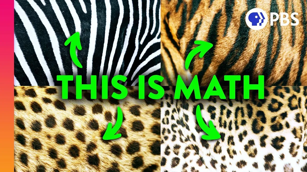 The Mathematical Code Hidden In Nature Classx