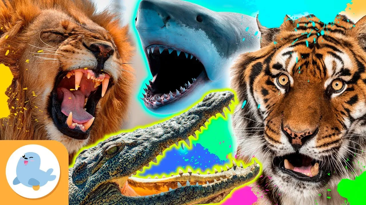 The MOST FEROCIOUS ANIMALS in the world ???????????????? LIONS, TIGERS ...