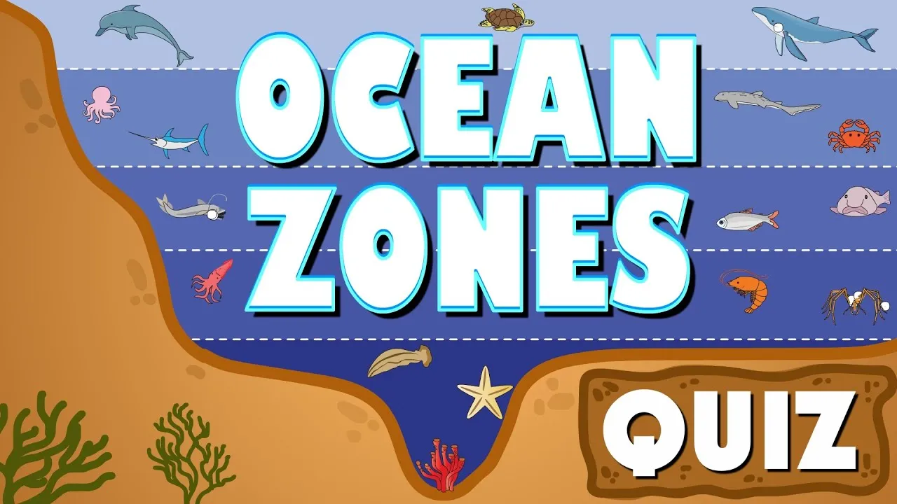 The Ocean Zones Quiz: Journey from Sunlit Shores to Deep Trenches | The ...