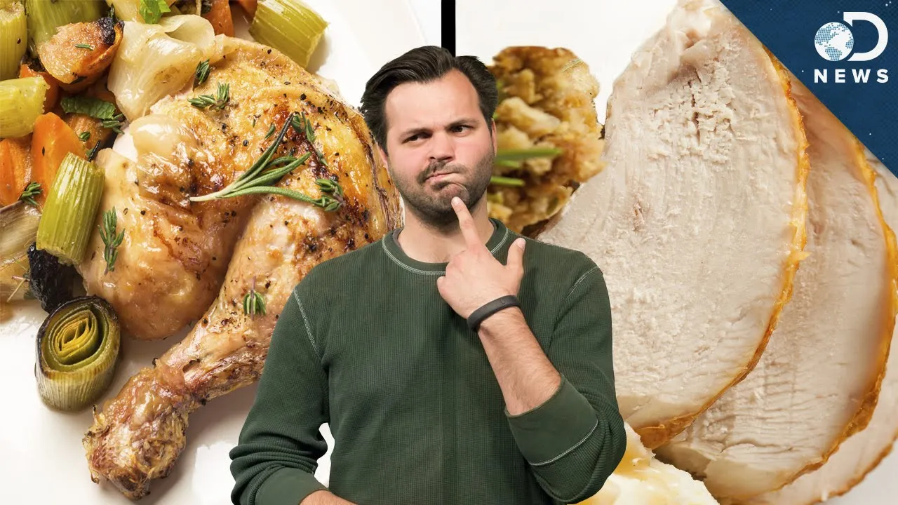 The Science Of Dark vs. White Meat - ClassX