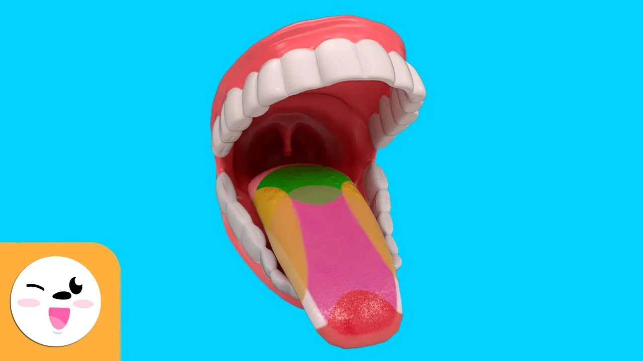 The Sense of Taste - How Does it Work? Senses For Kids - ClassX