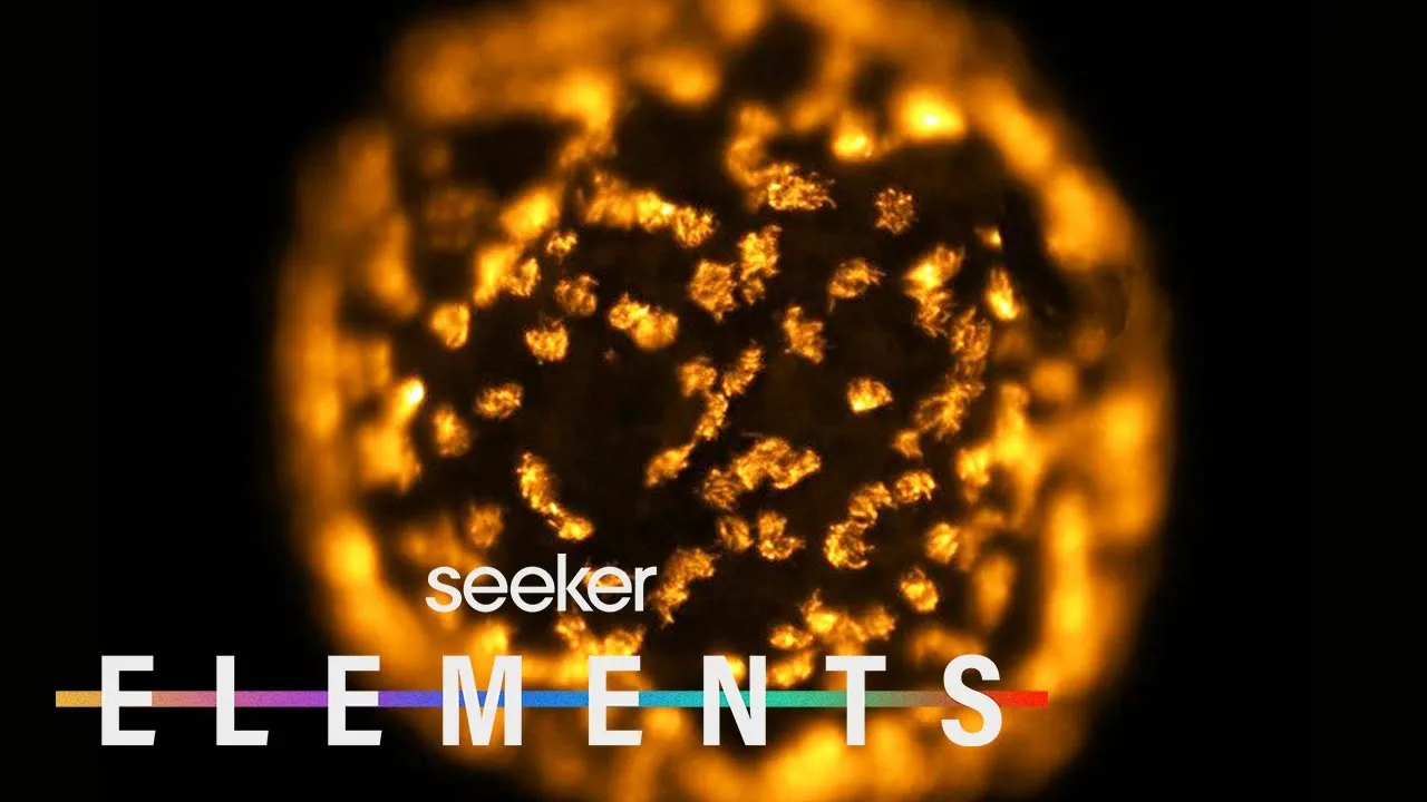 The World’s First “Living” Robots Just Got an Upgrade, Meet Xenobot 2.0 ...