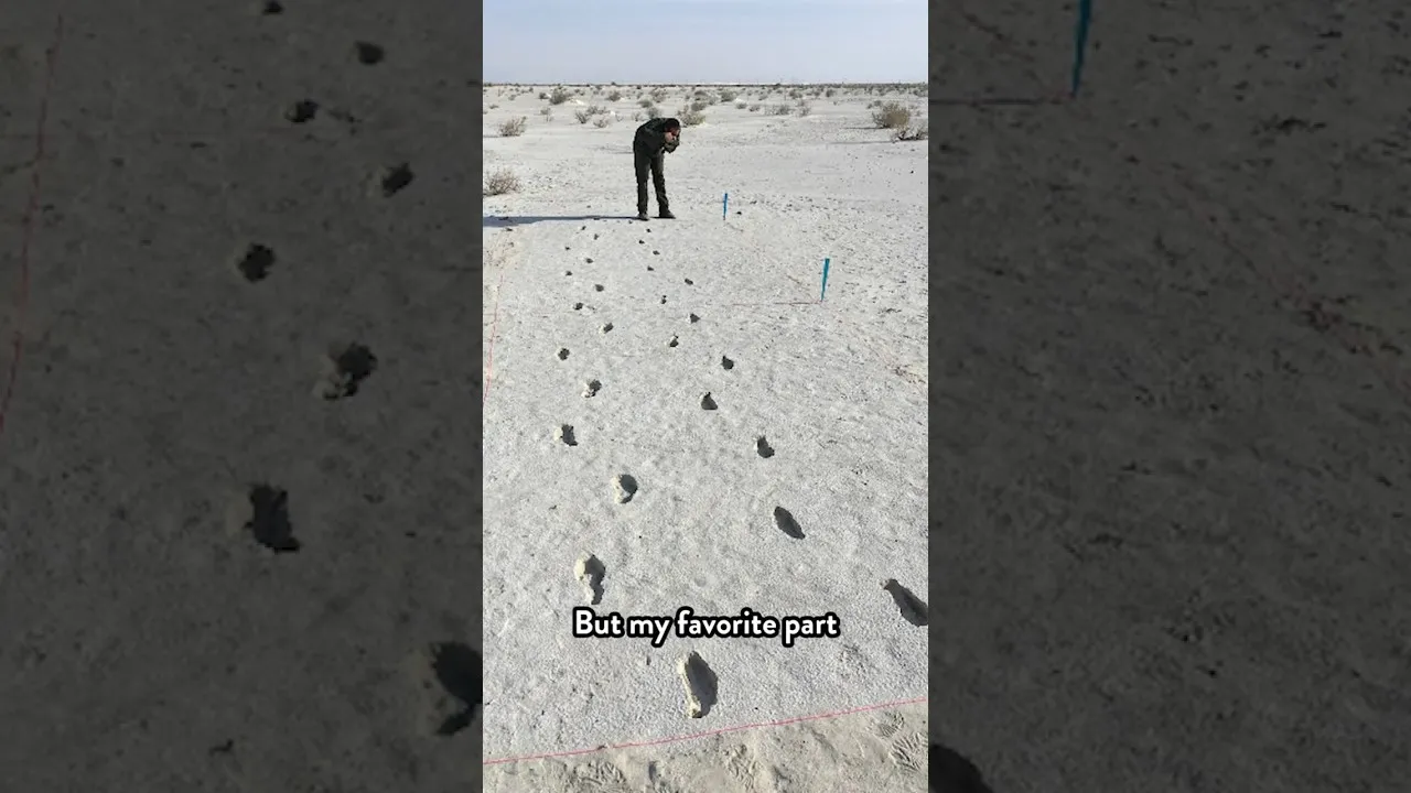 These weird footprints ???? rewrite the history of North America - ClassX