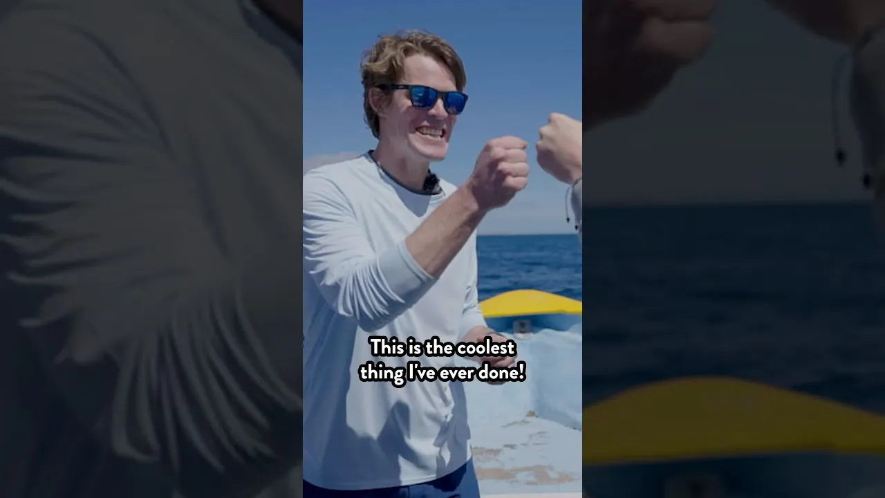 This is how to tag a BLUE WHALE ???? with a drone (for science!!) - ClassX