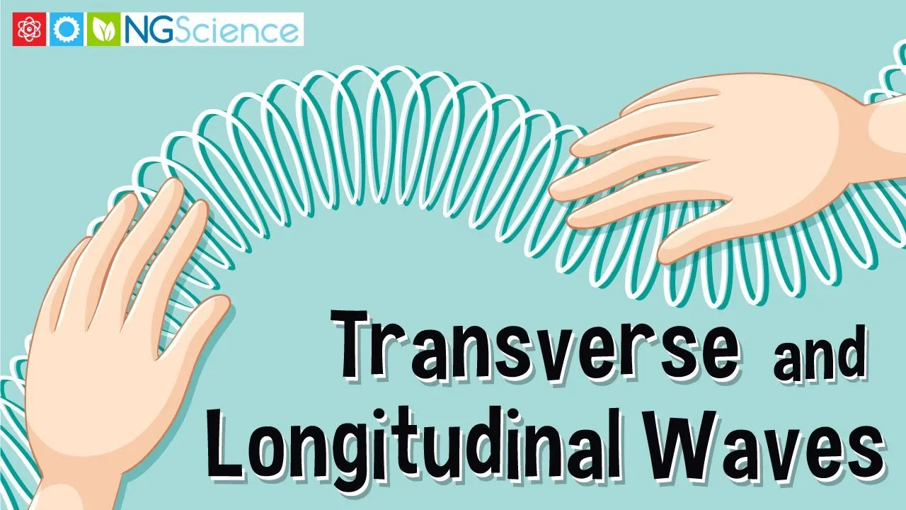 Transverse and Longitudinal Waves - ClassX