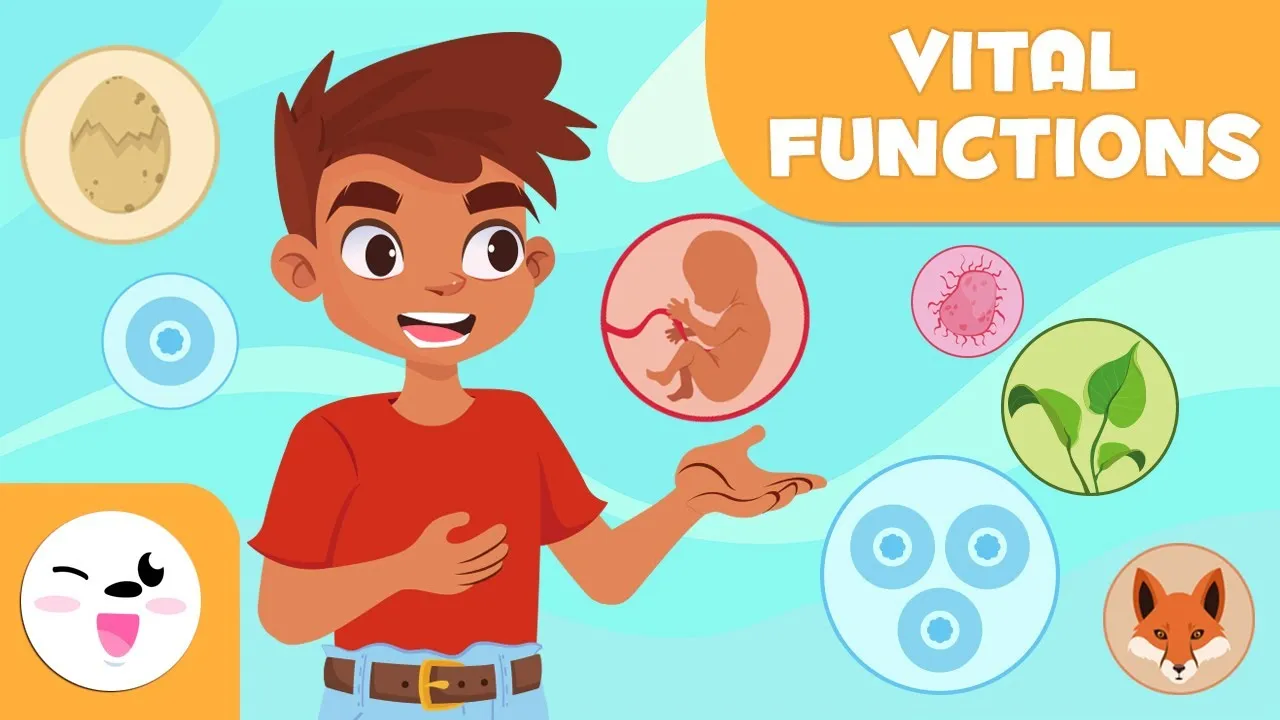 VITAL FUNCTIONS of LIVING BEINGS - Interaction, Nutrition and ...