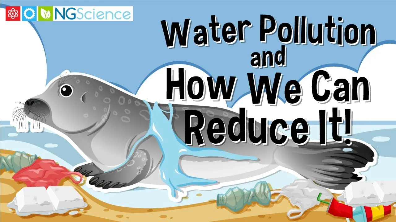 Water Pollution and How We Can Reduce It! - ClassX