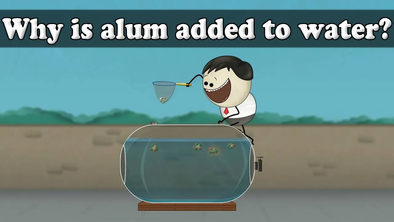 Water Purification: Why is alum added to water? - ClassX