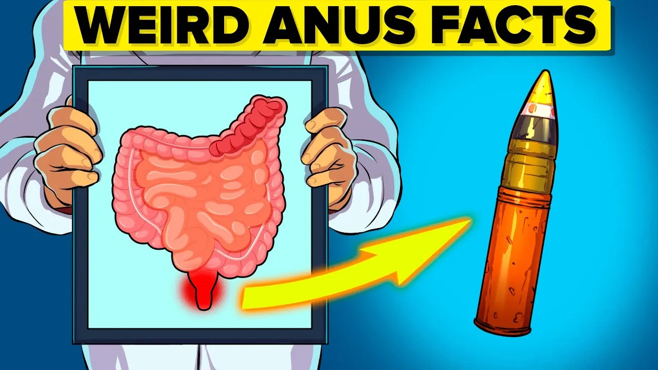 Weird Facts About the Anus - ClassX
