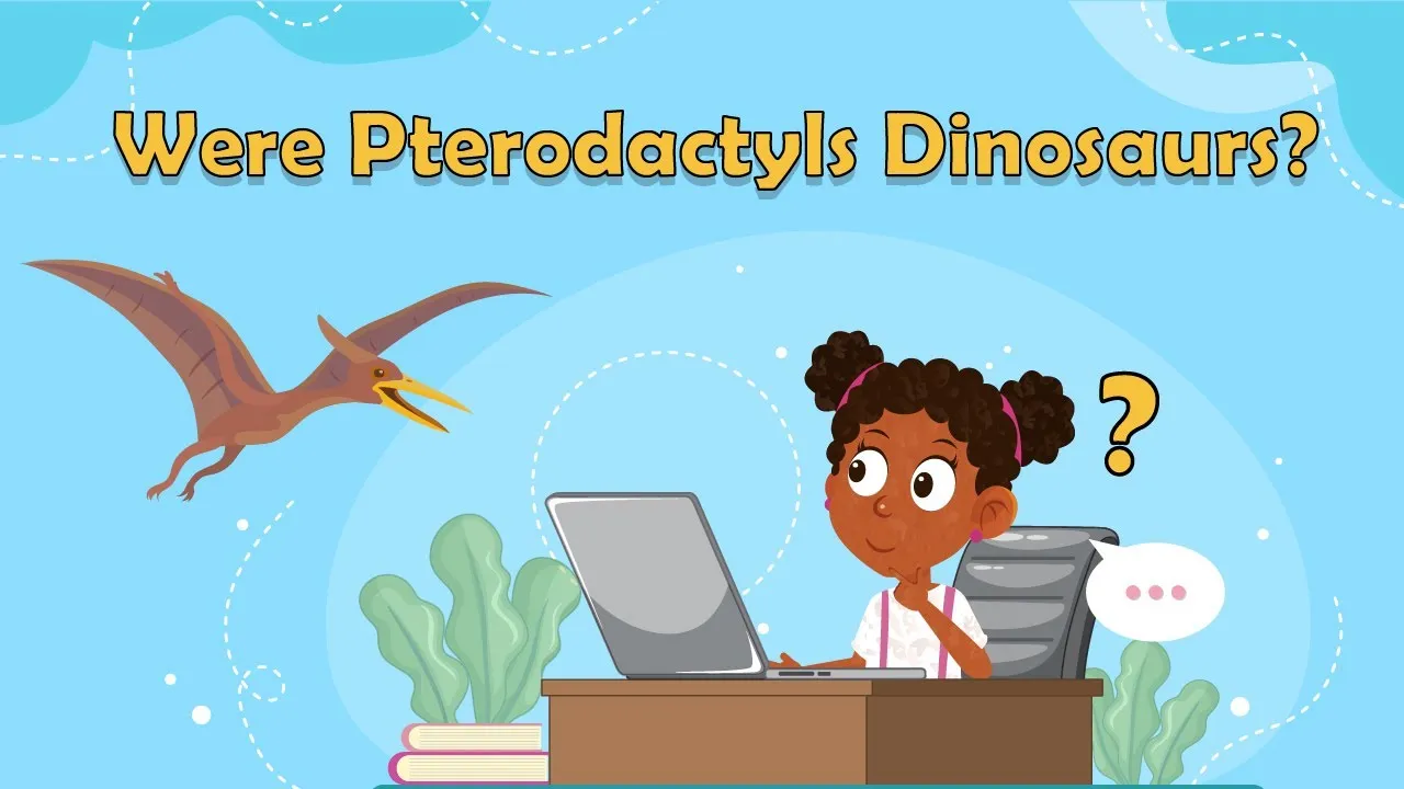 Were Pterodactyls Dinosaurs? - ClassX