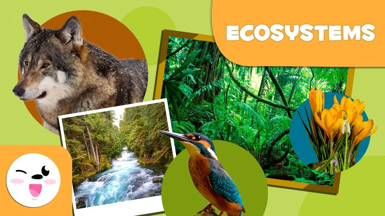 What are ecosystems? Types of Ecosystems for Kids - ClassX