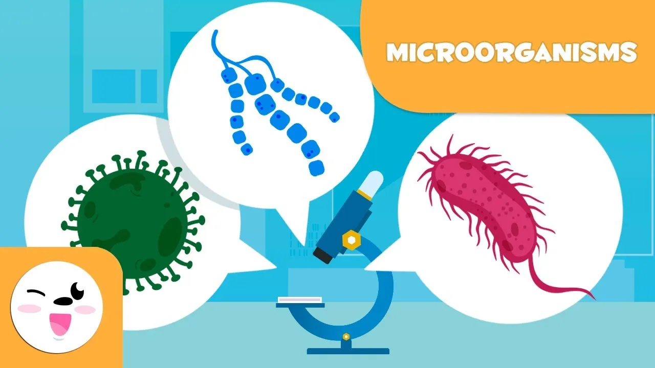 What are microorganisms? Bacteria, Viruses and Fungi - ClassX
