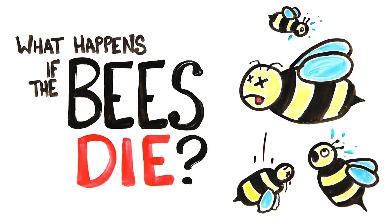 What Happens If All The Bees Die? - ClassX