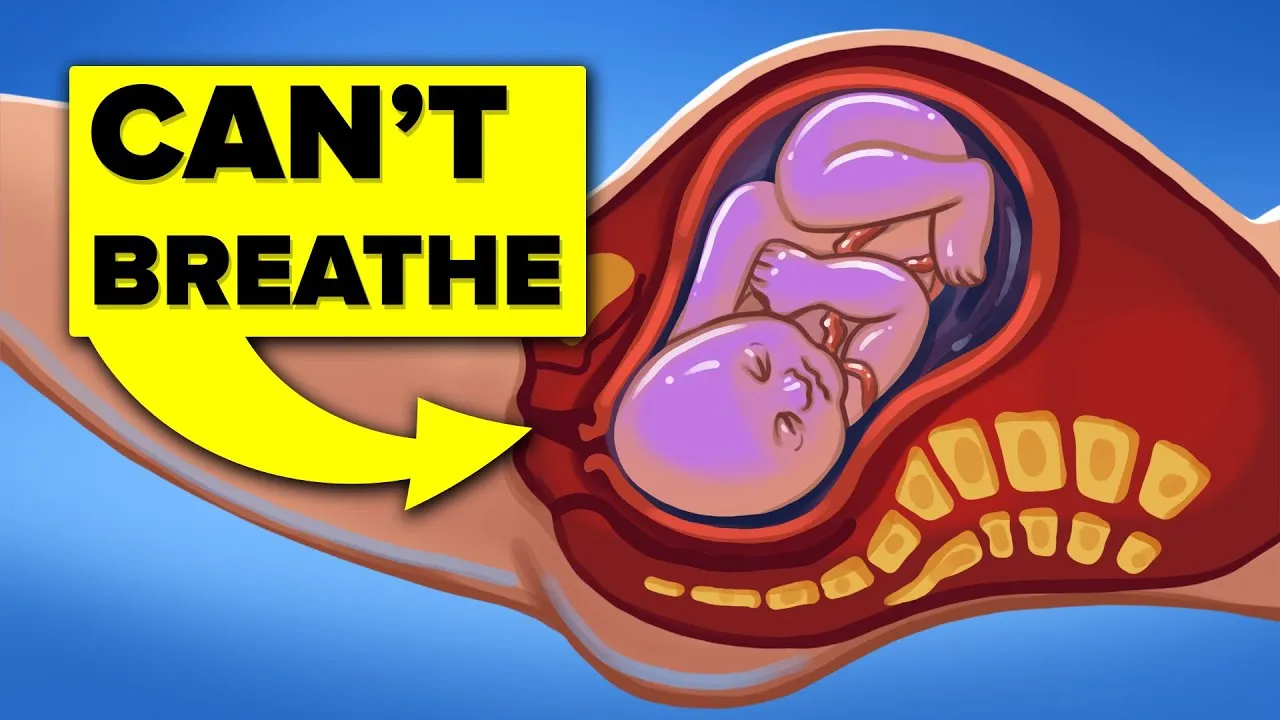 What Happens To Your Body During Child Birth - ClassX