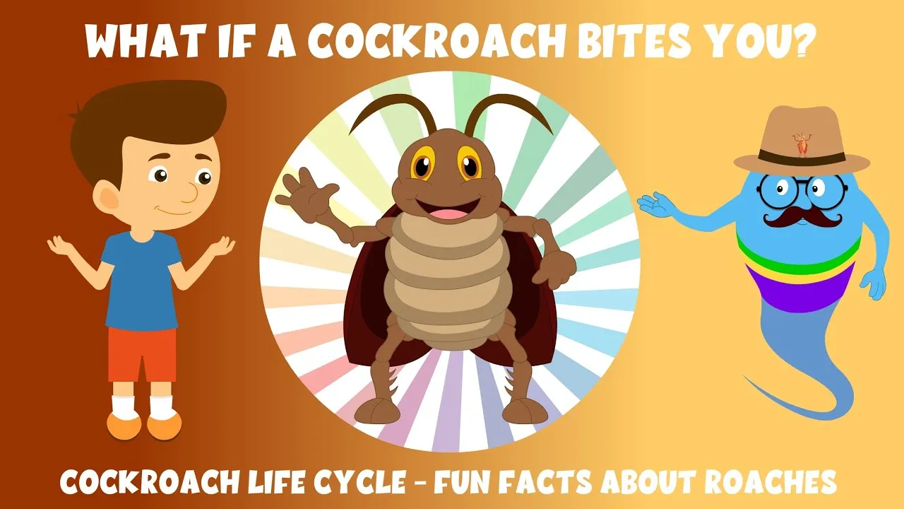 What if a cockroach bites you? - cockroach life cycle - Fun facts about ...