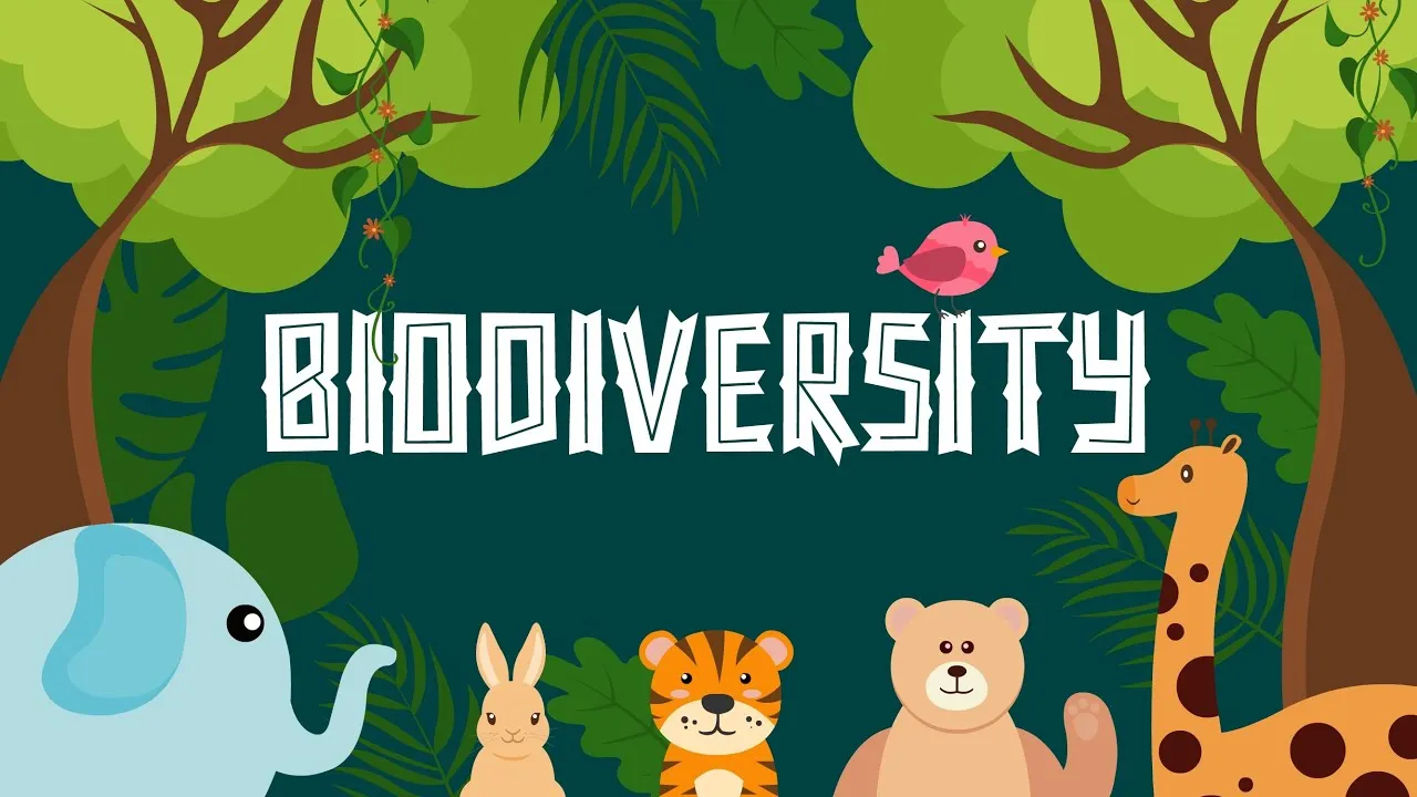 What Is Biodiversity? - Definition, Types And Importance - Biological ...