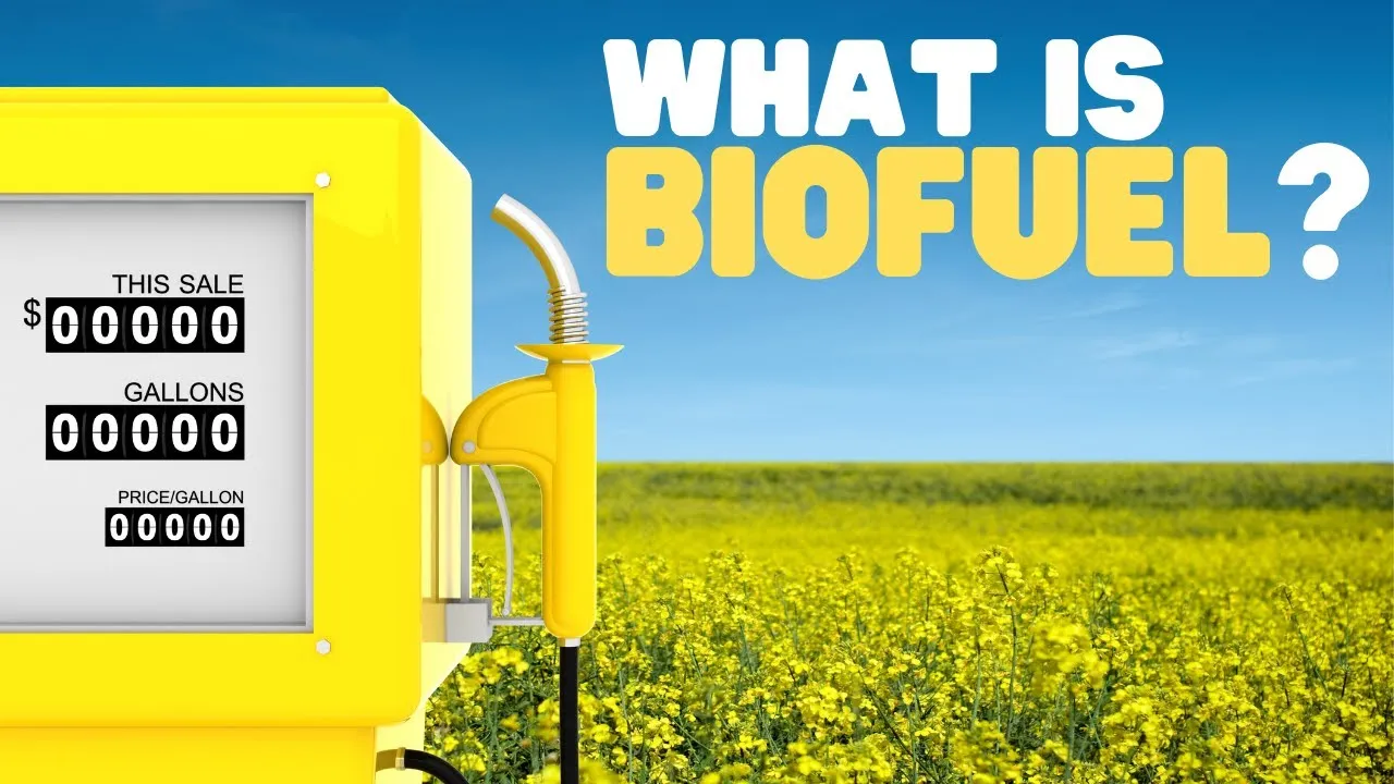 What Is Biofuel? | Biomass and biofuels for kids - ClassX