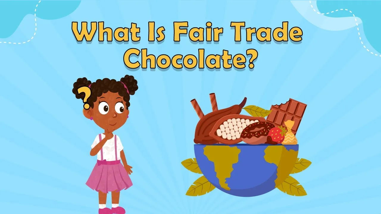 What Is Fair Trade Chocolate? - ClassX