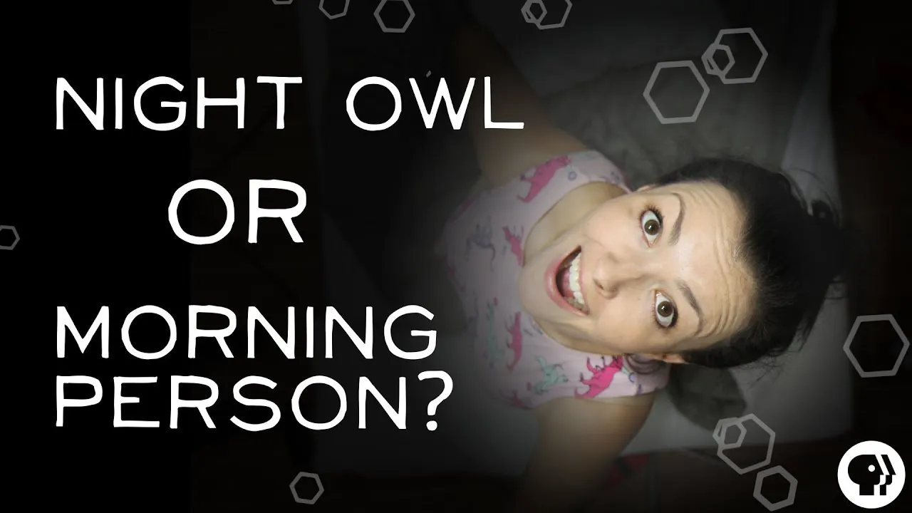 What Makes Someone a Night Owl? - ClassX