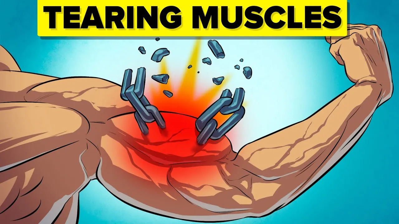 What Really Happens to Your Muscles During a Workout - ClassX