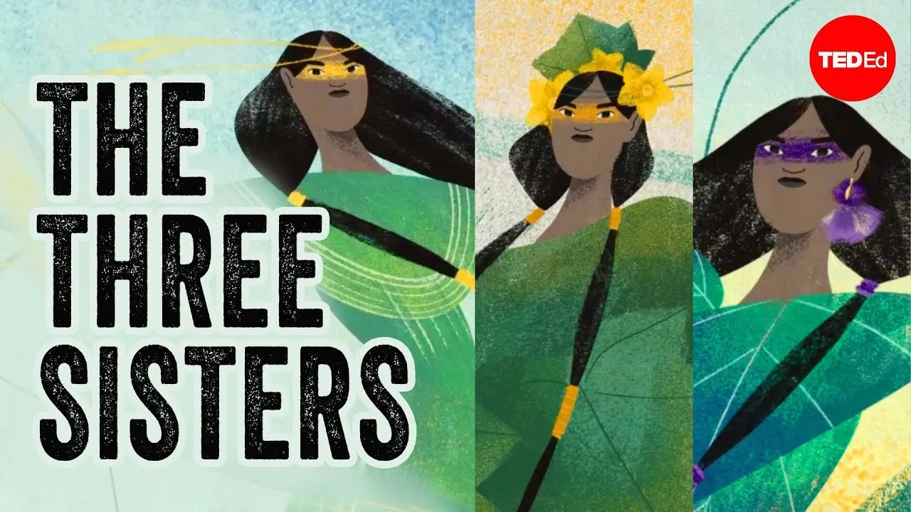 When ancient wisdom beats modern industry - Rebecca Webster - ClassX