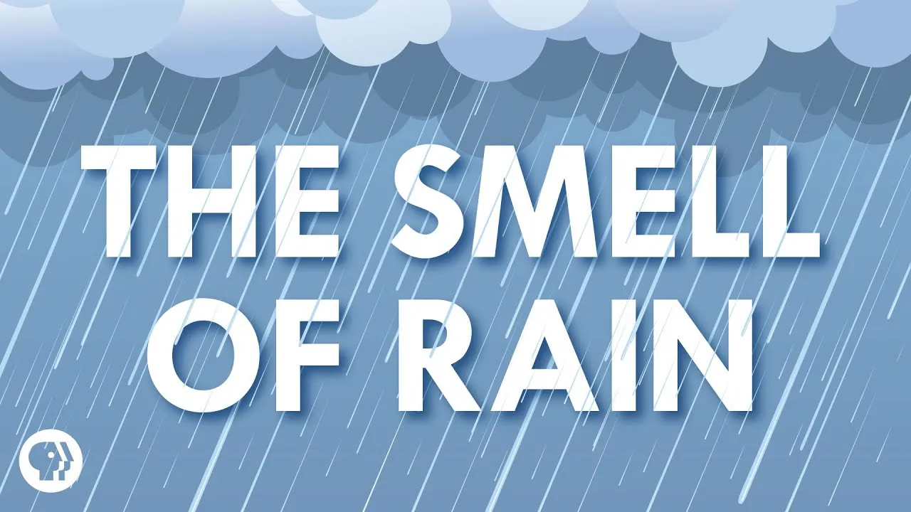 Where Does the Smell of Rain Come From? - ClassX