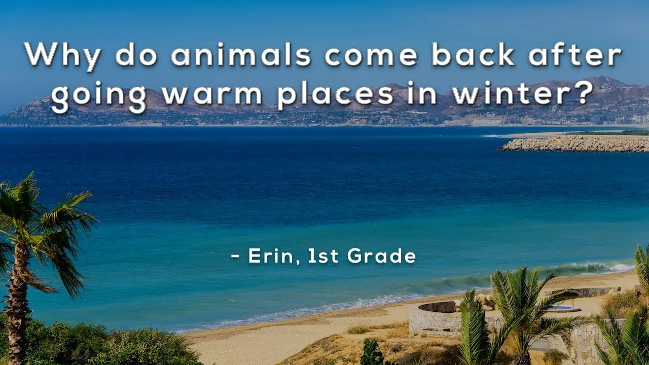 Why do animals come back after going warm places in winter? - ClassX