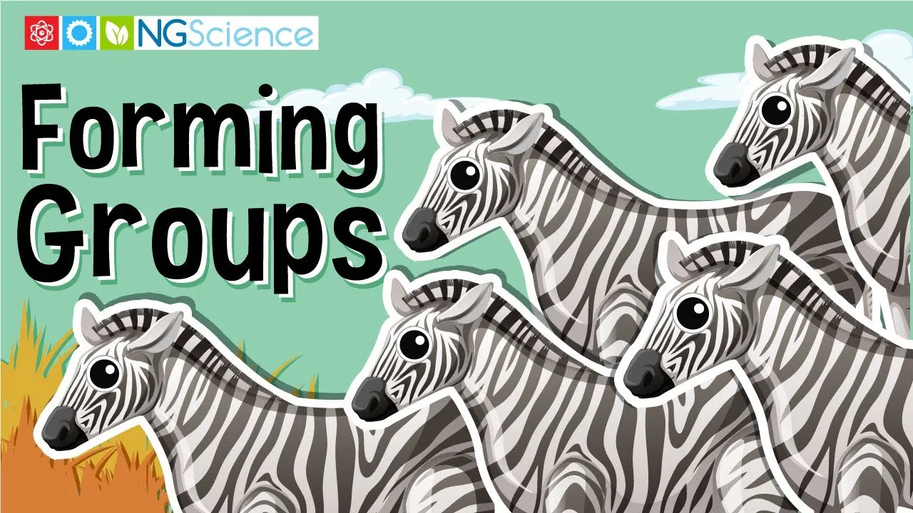 Why Do Animals Form Groups? - ClassX
