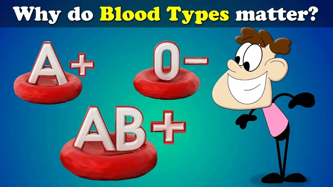 Why do Blood Types matter? - ClassX