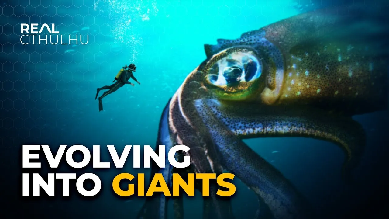 Why Do Deep Sea Creatures Evolve Into Giants? - ClassX