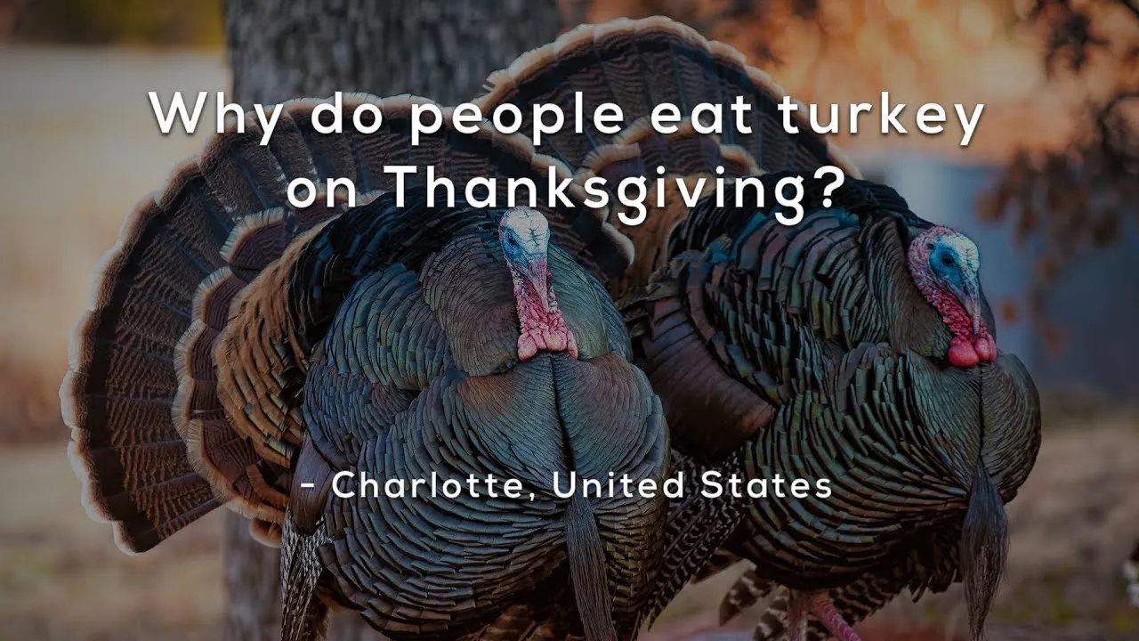 Why do people eat turkey on Thanksgiving? - ClassX