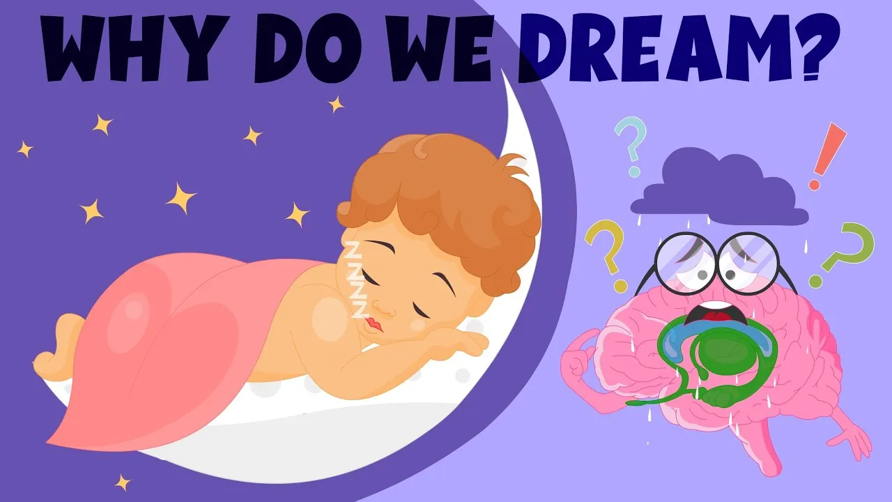 Why Do We Dream? - Sleep and Dreams: How do they work? - ClassX