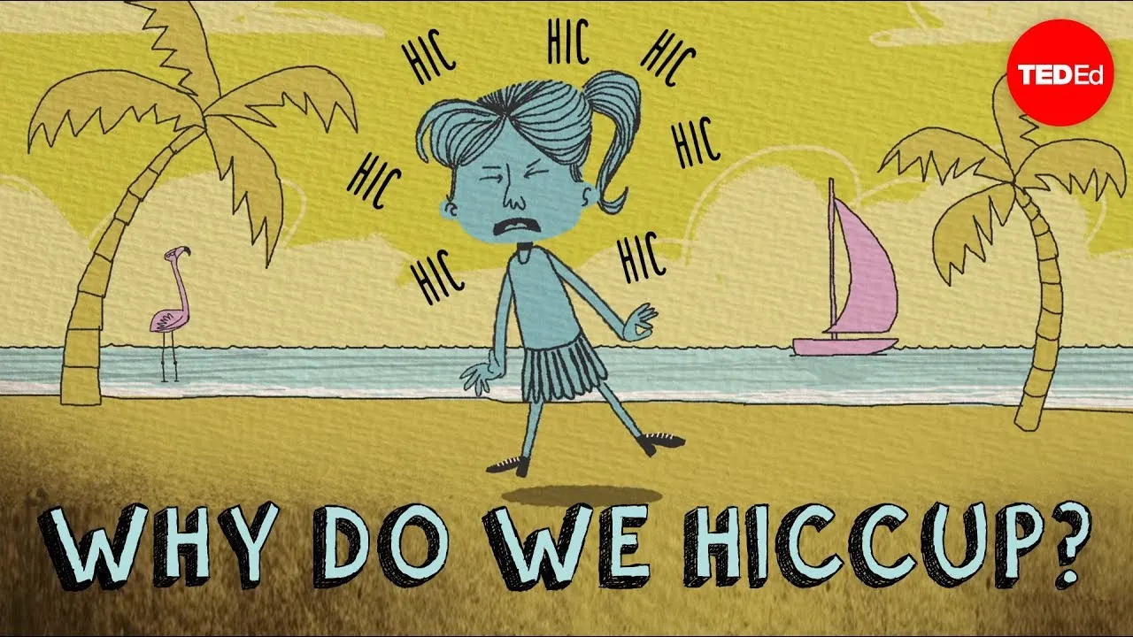 Why Do We Hiccup John Cameron Classx