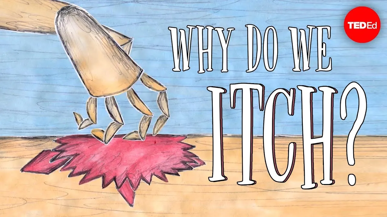 Why do we itch? - Emma Bryce - ClassX