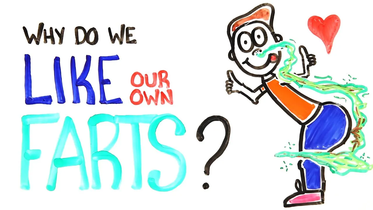 Why Do We Like Our Own Farts? - ClassX