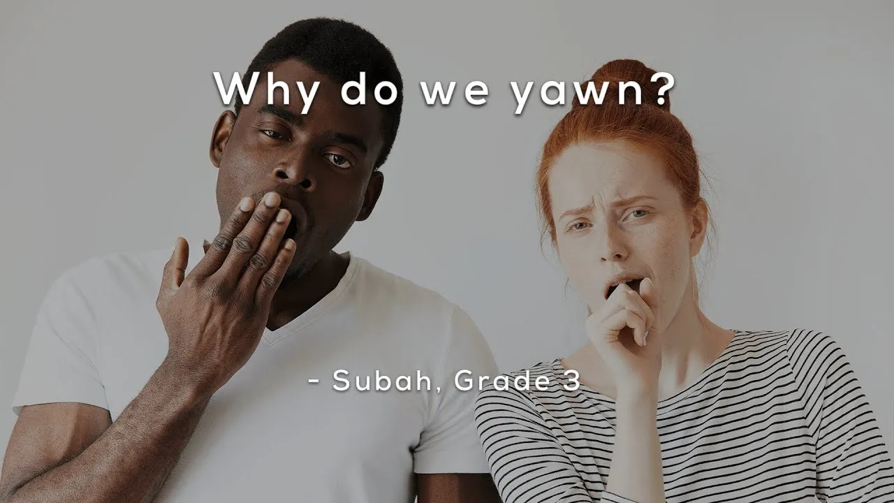 Why do we yawn? - ClassX